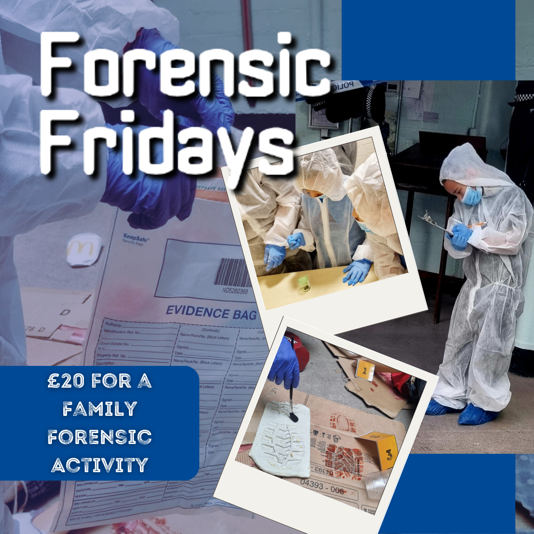 Family Forensics Sessions